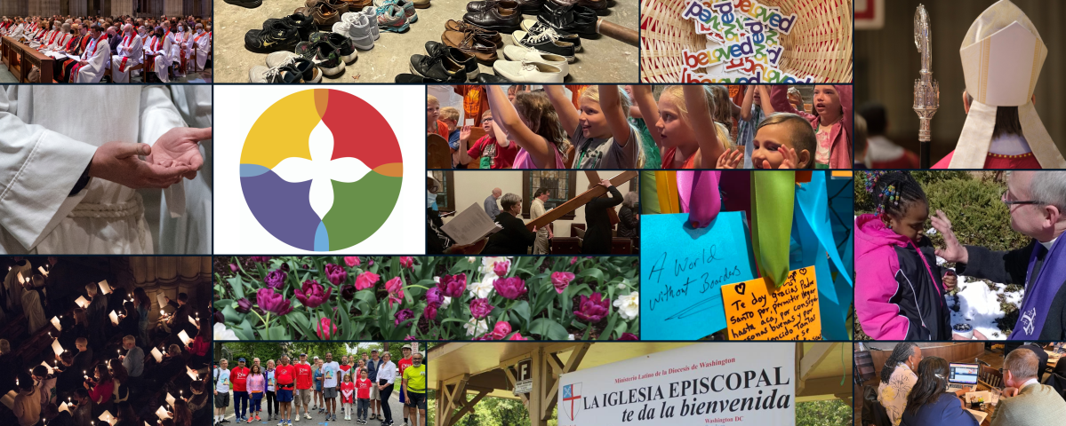 Washington | Episcopal Asset Map